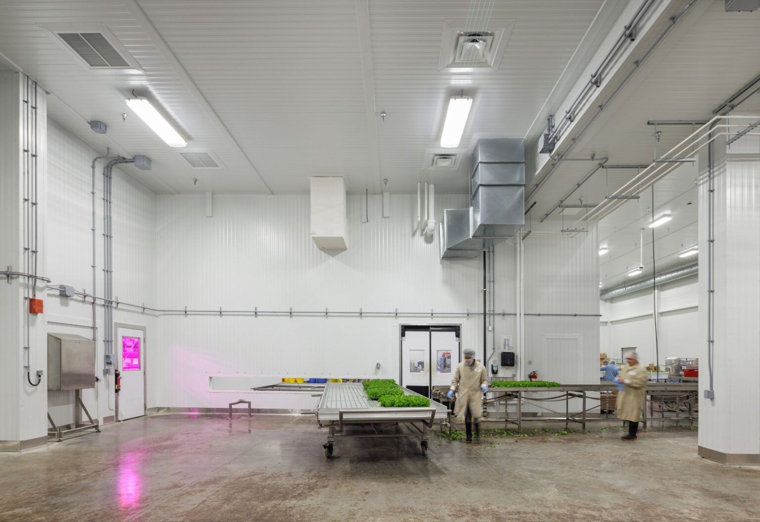 GoodLeaf Farms Vertical Farming Warehouse - Prolux Lighting & Controls