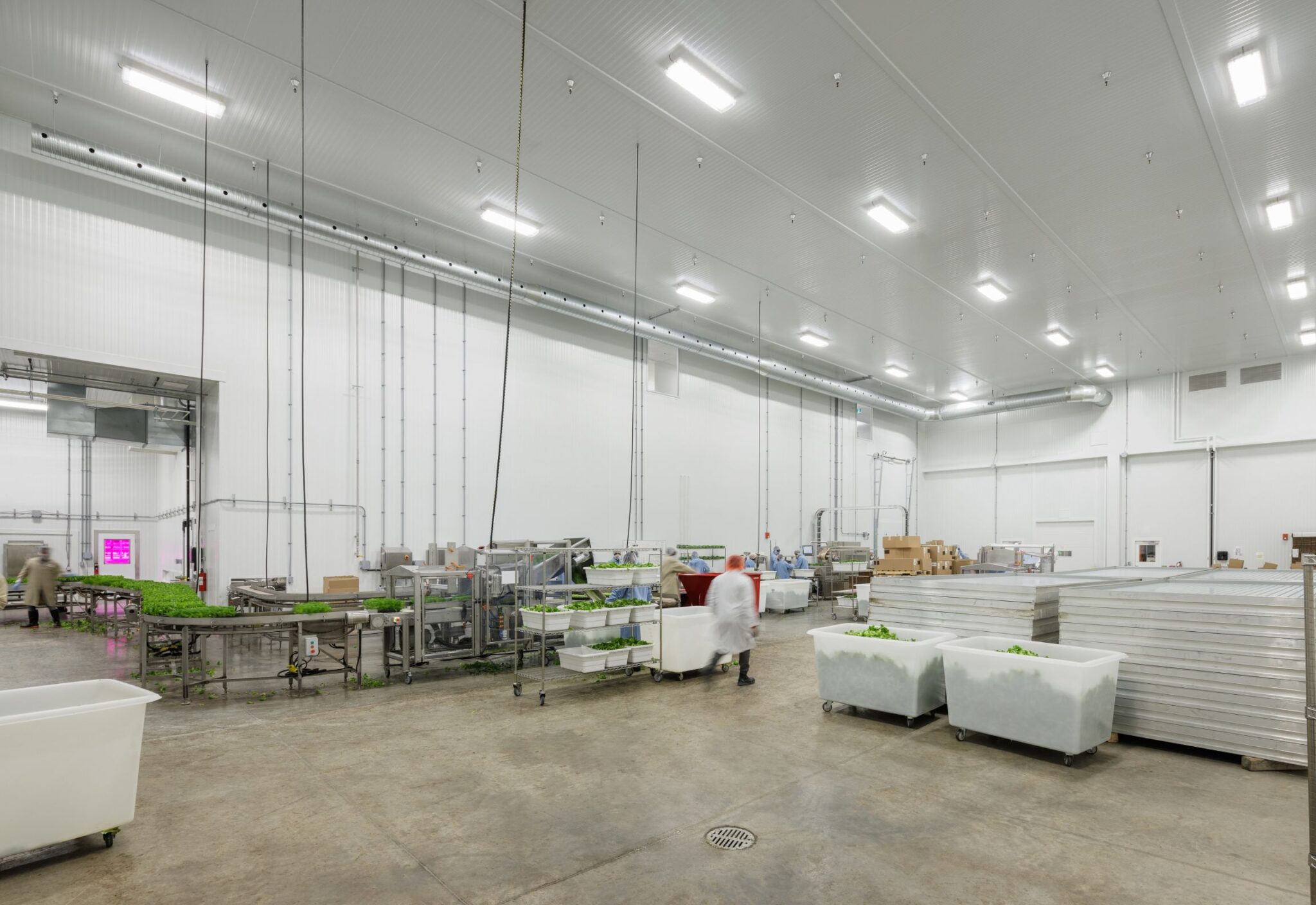 GoodLeaf Farms Vertical Farming Warehouse - Prolux Lighting & Controls